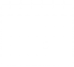 Wine Tour | Wine Tasting, Winery Tour - Top Cat Tours